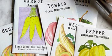 seeds garden – Linvilla Orchards