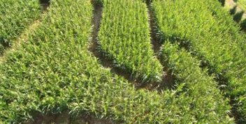 Jobs – Linvilla Orchards