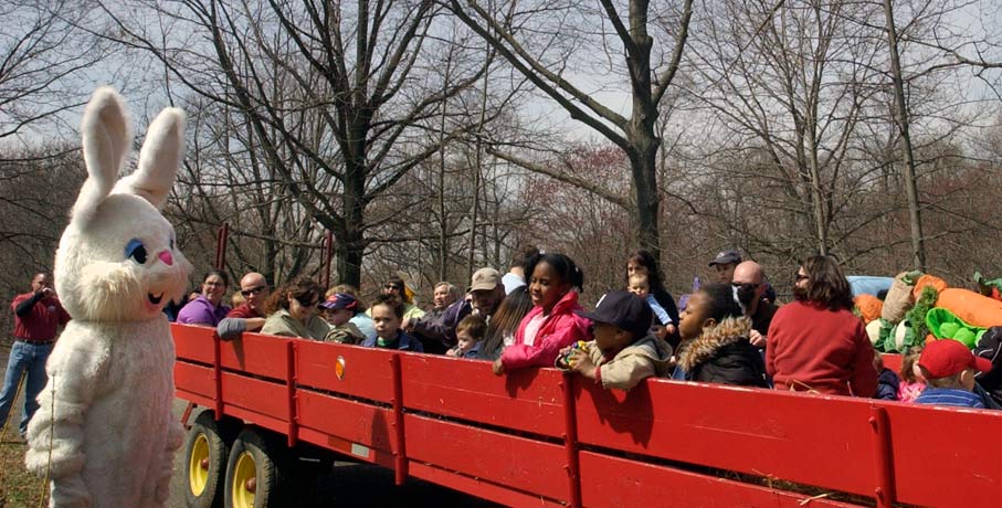 Hayrides to Bunnyland – Linvilla Orchards