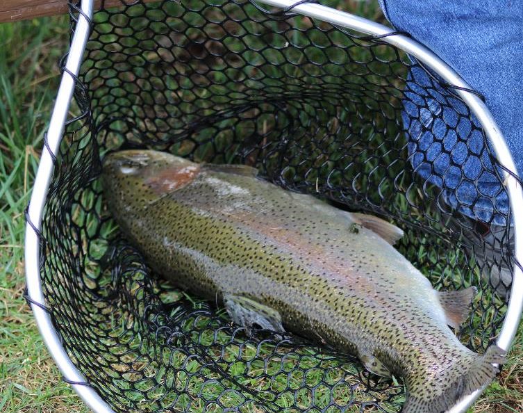 Home – Linvilla Orchards