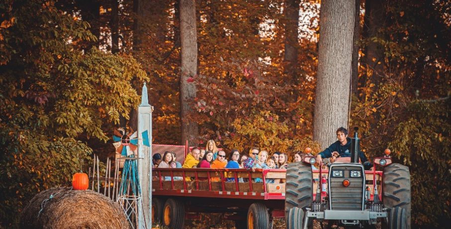 Arts & Craft Festival – Linvilla Orchards