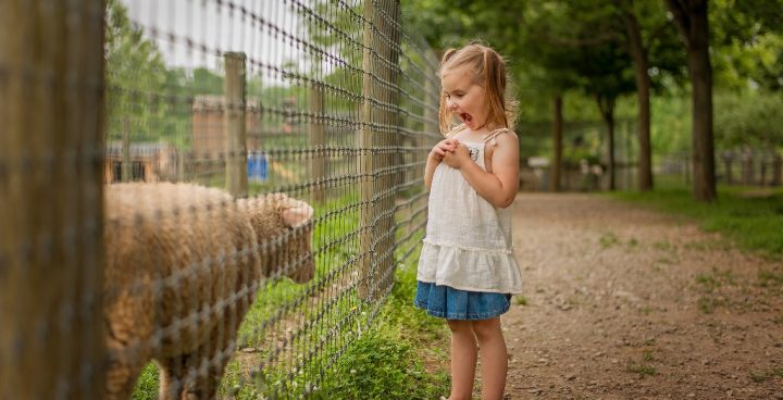 Family Fun – Linvilla Orchards