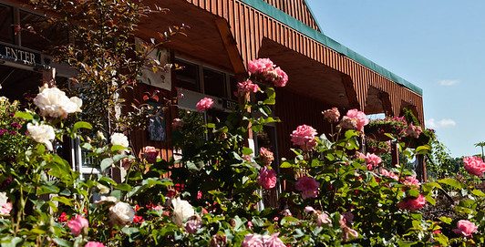 Home – Linvilla Orchards