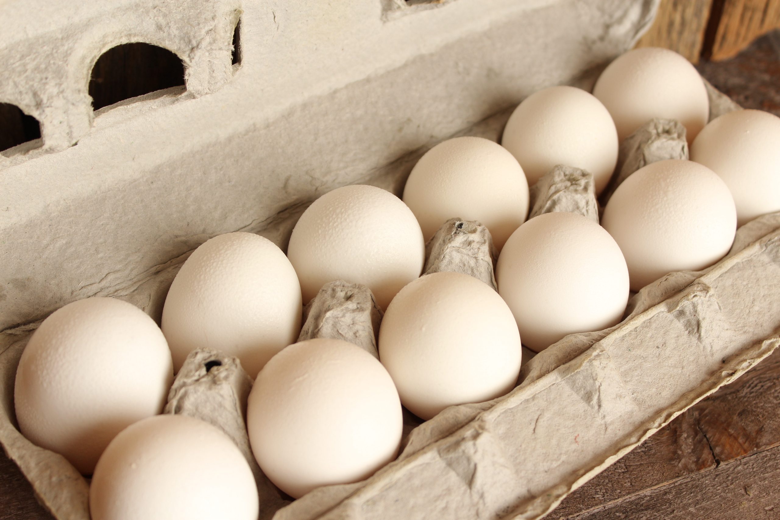 Eggs-White Eggs (Large) 1 dozen – Linvilla Orchards Eggs-White Eggs (Large) 1 dozen – Linvilla Orchards