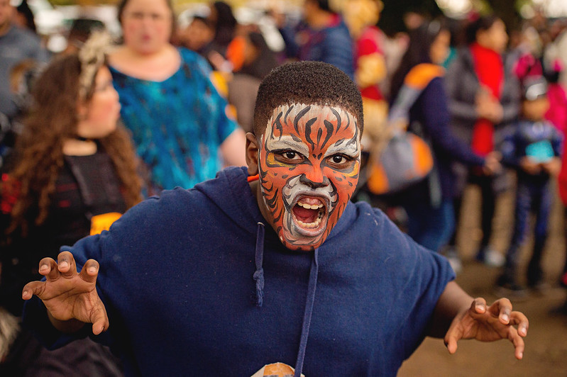Train Rides, Pony Rides & Face Painting – Linvilla Orchards