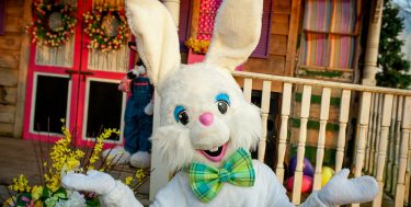 Family Fun – Linvilla Orchards