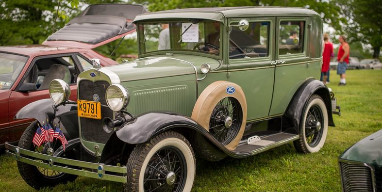 Family Fun – Linvilla Orchards