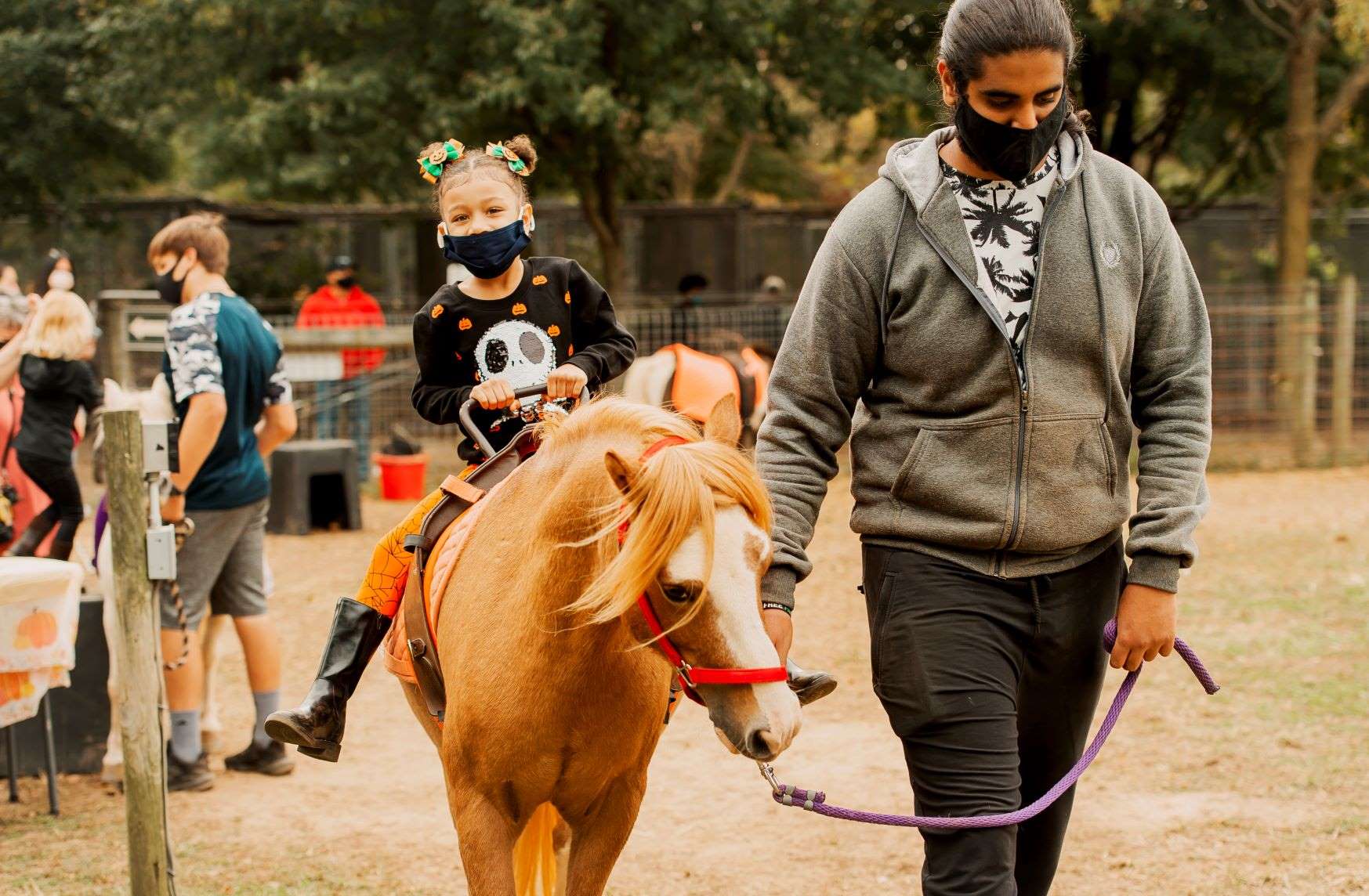 Train Rides, Pony Rides & Face Painting – Linvilla Orchards