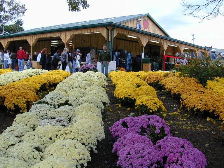Garden Center – Linvilla Orchards