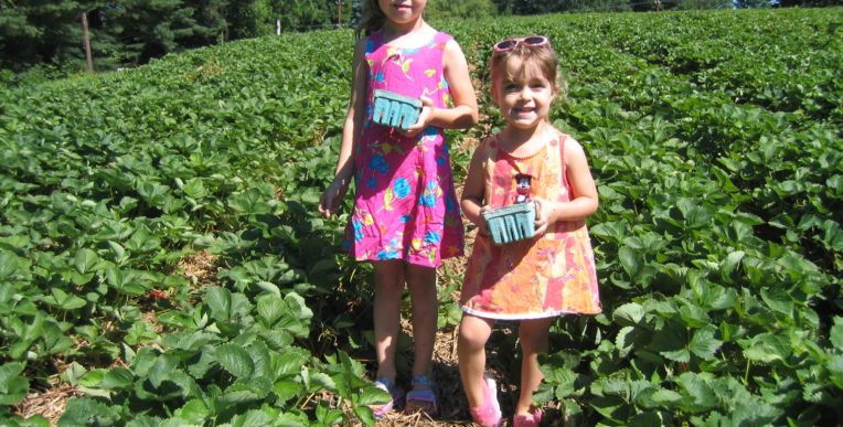 Family Fun – Linvilla Orchards