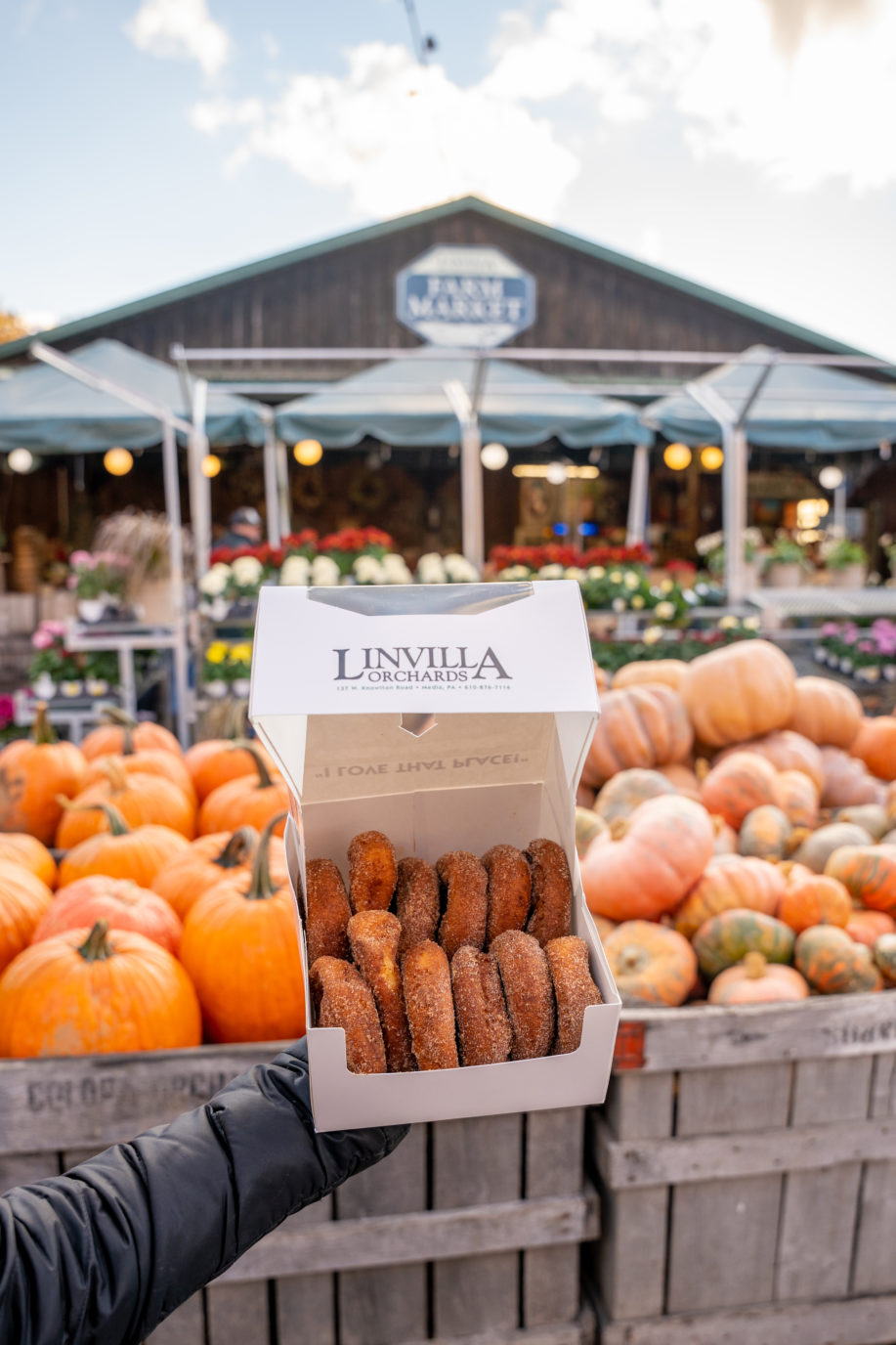 Apple Treats! – Linvilla Orchards