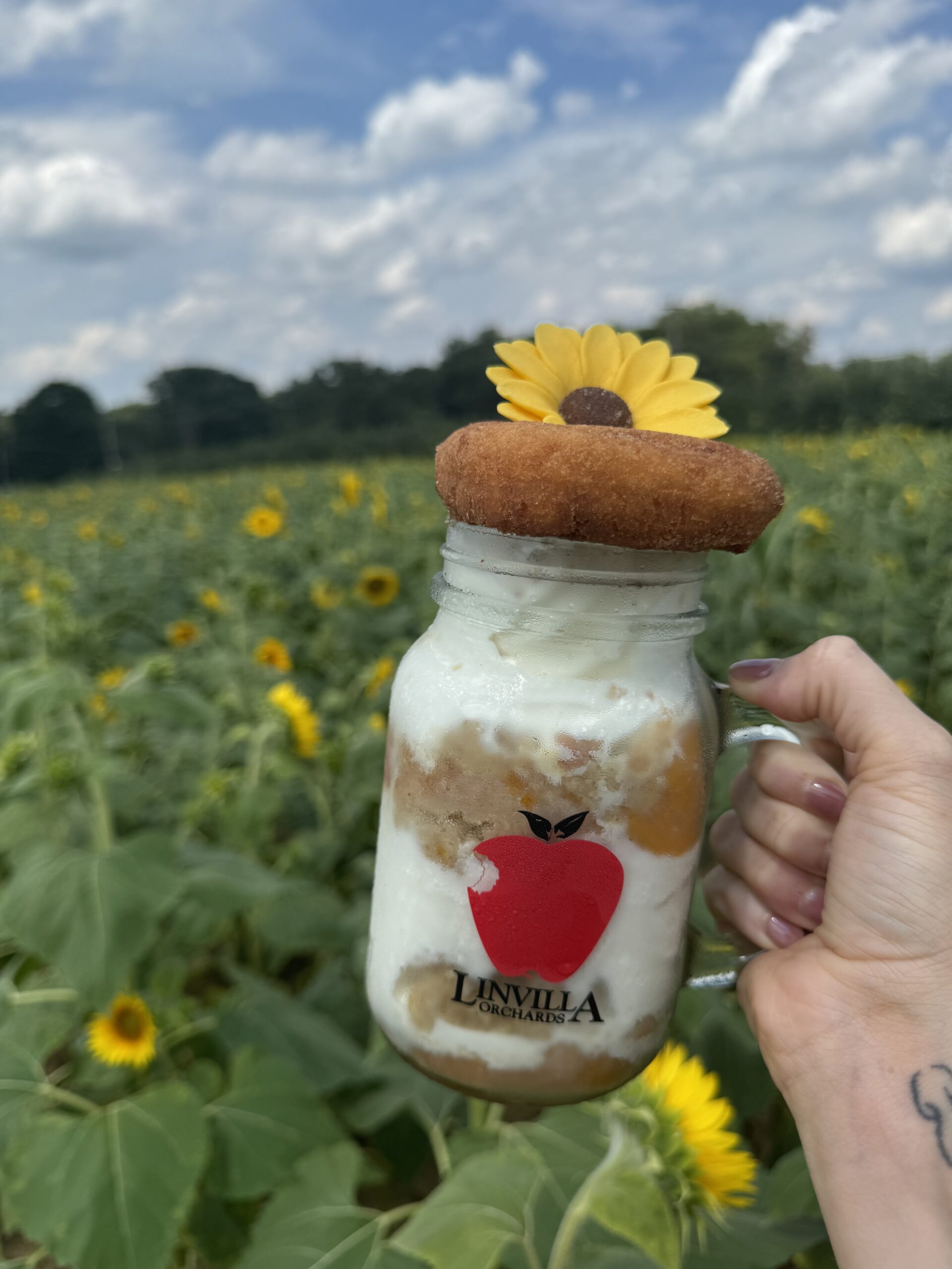 Peach and Sunflower Festival – Linvilla Orchards