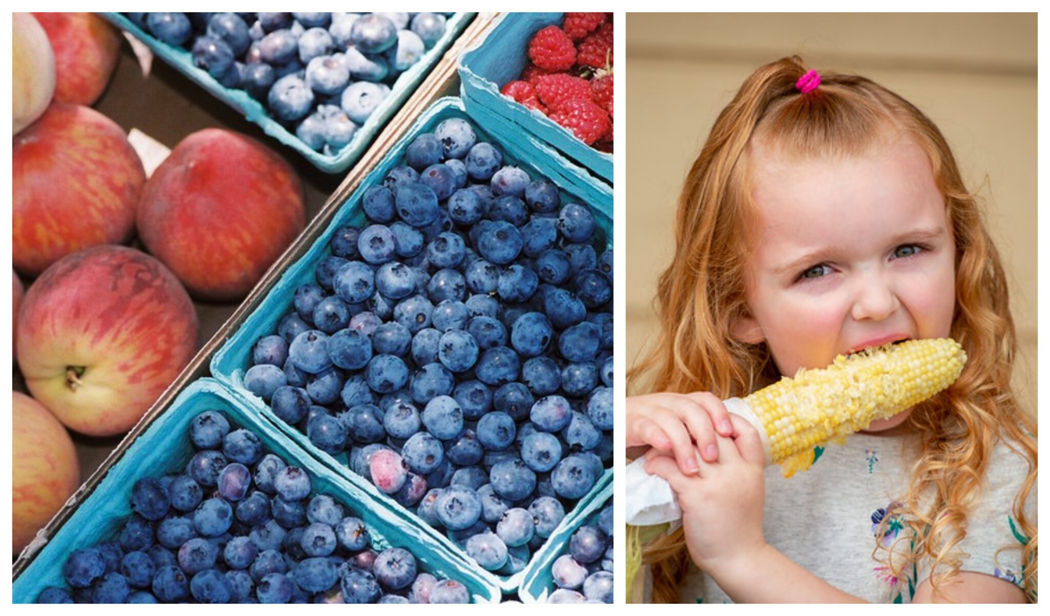 Pick, Play & Celebrate: Your 4th of July Weekend at Linvilla – Linvilla ...